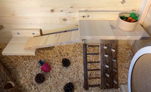 Hamsters, Mice & Gerbils - Providing the Right Home for your Pets