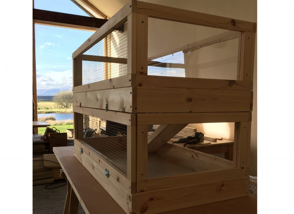 Pet Home Customisation: Perspex Side Panel