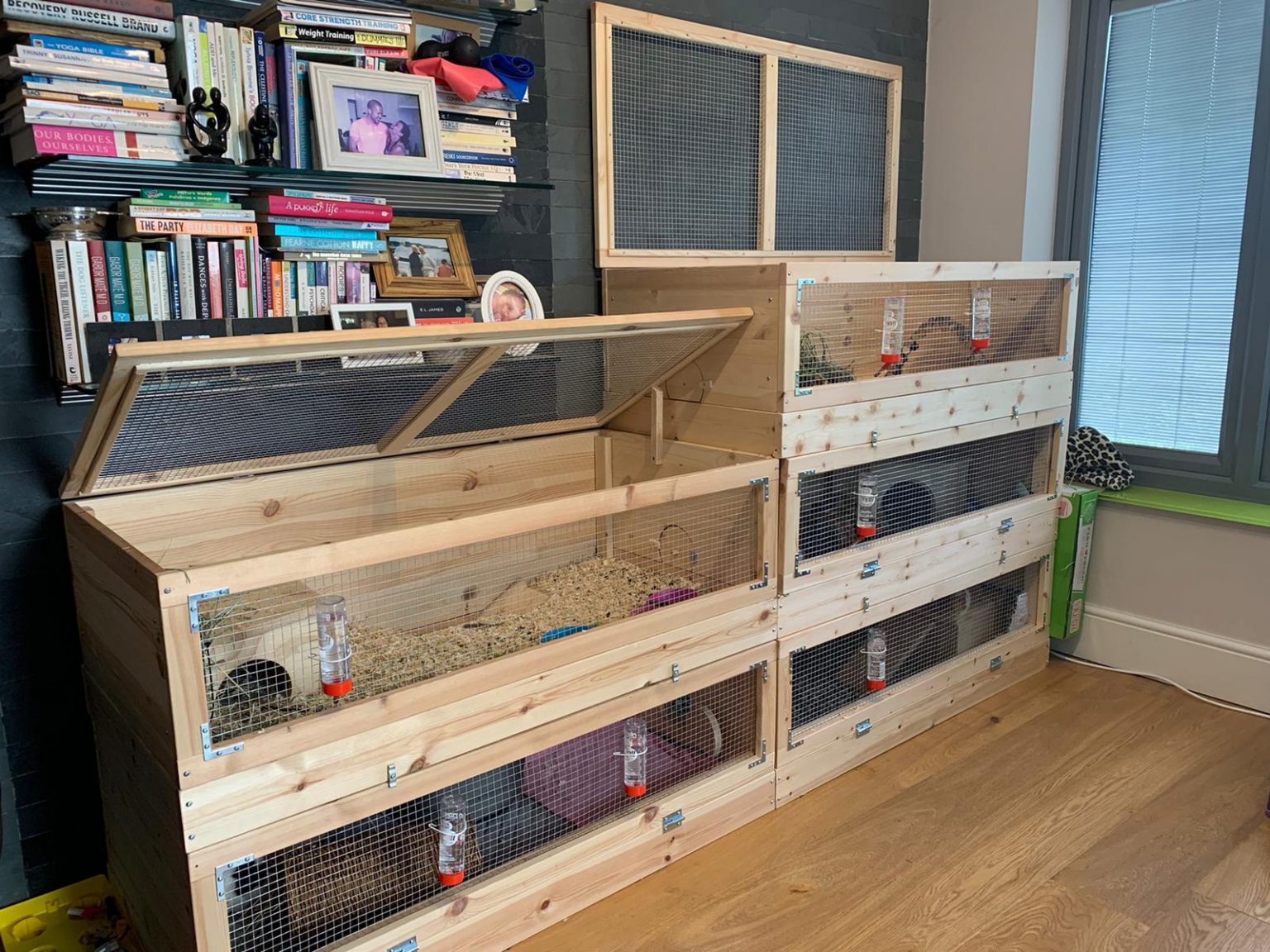 Pygmy Hedgehog Cages